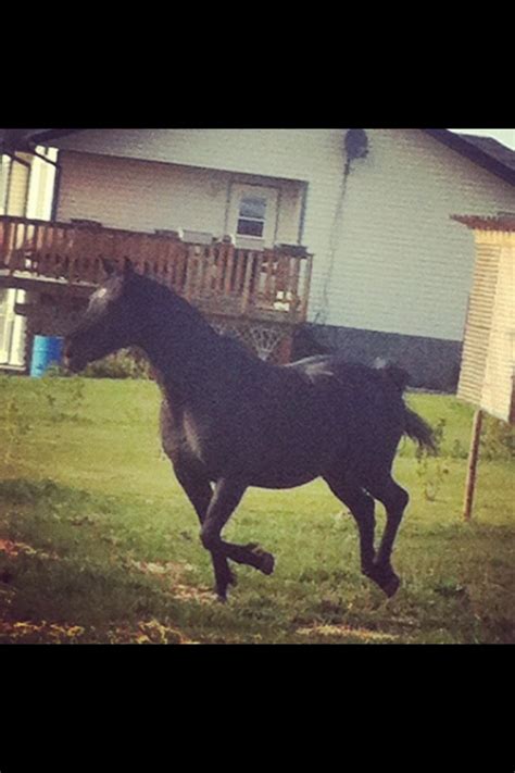 Beautiful Tink Running Like The Wind