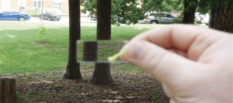 Benefits And Drawbacks To Variable Radius Plots Alabama Cooperative Extension System