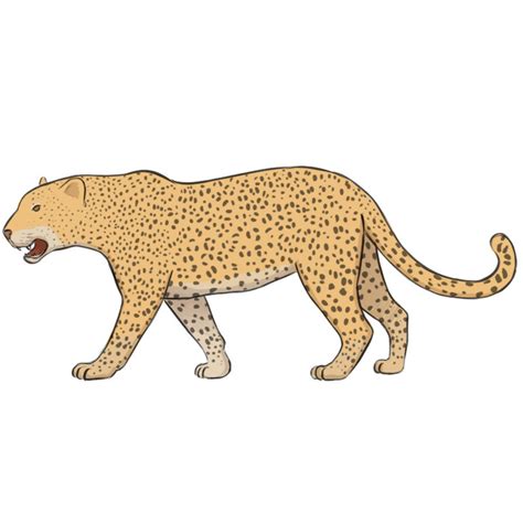 How To Draw A Leopard Easy Drawing Art