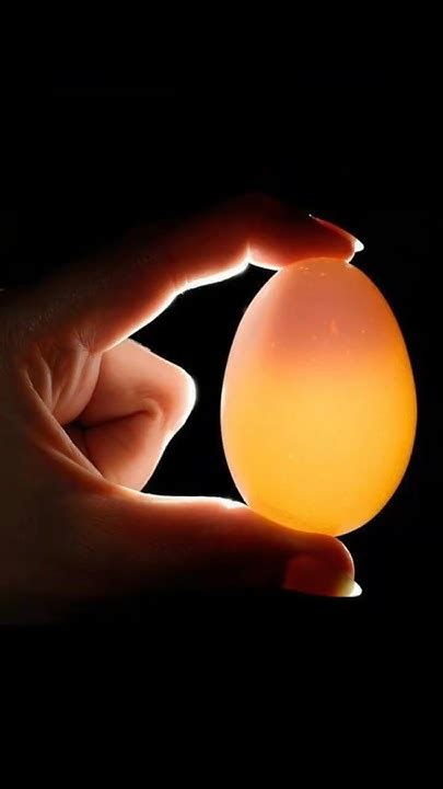 Amazing Science Tricks Shorts Tricks Story Youtube