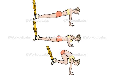 Trx Suspension Straps Atomic Push Ups Pushups Workoutlabs Exercise