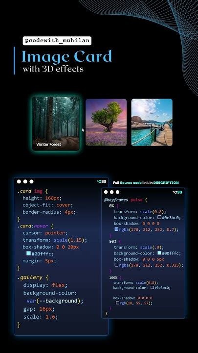 image cards pure css ️ codewith muhilan youtube