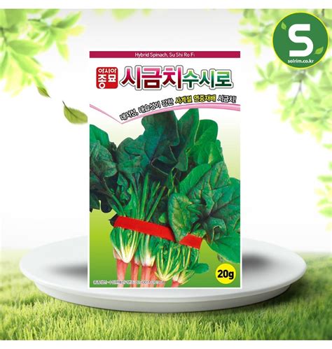 시금치씨앗 20g 수시로시금치 연중재배 내서성 씨앗 티몬