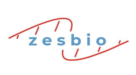 Cck 8 Cell Counting Kit Zesbio