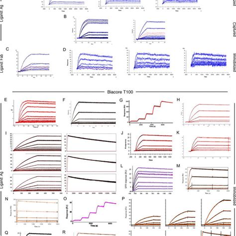 Data Sets Submitted By Participants Using Biacore Instruments Download Scientific Diagram