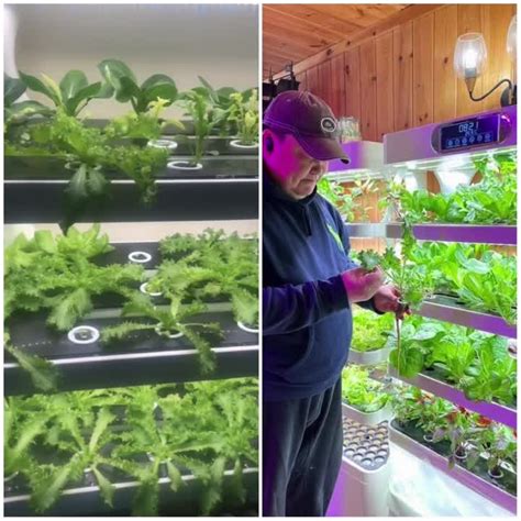 Lkhagvajav Ariunbold On Linkedin Ургаж байнаа Ургаж байна☘️🍓☘️ Growool ухаалаг хүлэмж таны…