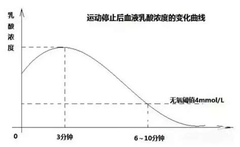 跑完长跑之后排酸跑真的排酸吗 凤凰网