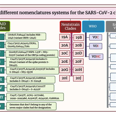 Figure Phylogenetic Analysis Of All Downsampled Sars Cov 2 Alpha