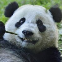 前端开发项目运行npm install 提示XXX for funding run npm fund 的解决方法 腾讯云开发者社区 腾讯云