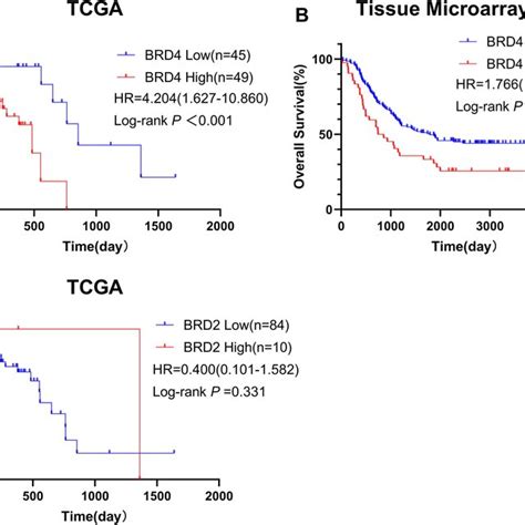 Brd4 Expression Level And Immune Infiltration A Brd4 Expression Level