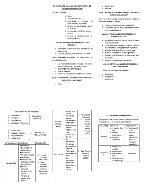 Bolitin Ciam Pdf Pollo Aves