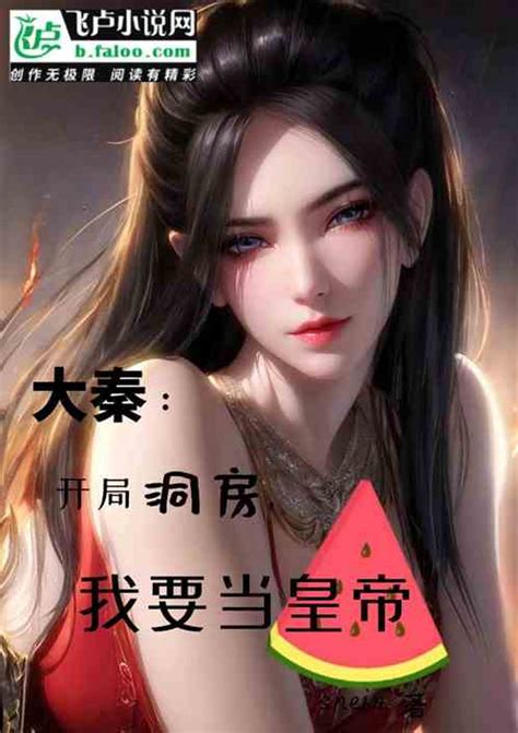 大秦：开局洞房，我要当皇帝shein小说全本小说下载飞卢小说网