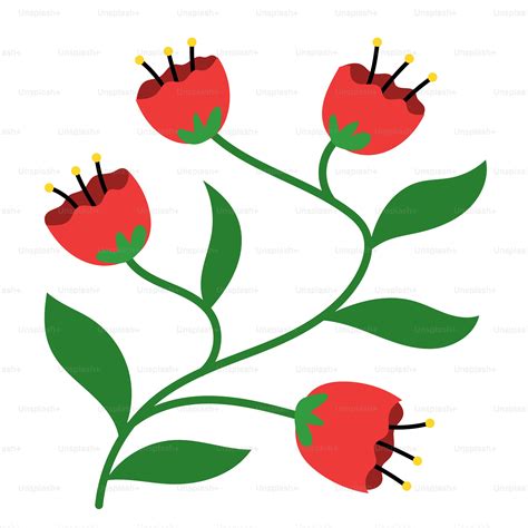 흰색 배경에 녹색 잎이 있는 빨간 꽃 벡터 Unsplash의 자연 이미지