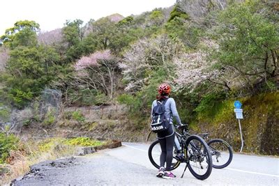 cycling guide thum 一般社団法人すさみ町観光協会