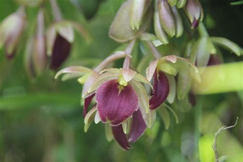 Reserva Cucho Motilón Restor