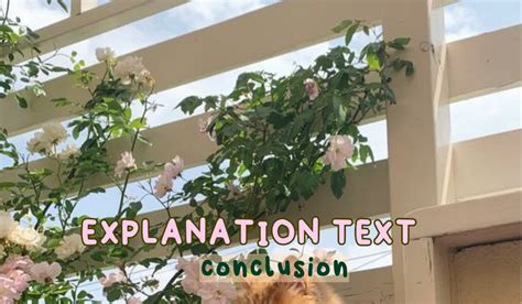 Explanation Text Conclusion