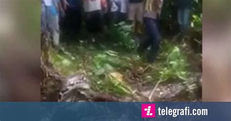 A Six Meter Python In Indonesia Devoured The Body Of A 54 Year Old Woman Telegraph Telegraph