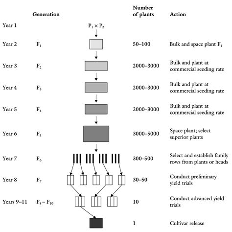 Plant Introduction History Purpose Procedure Merits Demerits Biology Notes Online