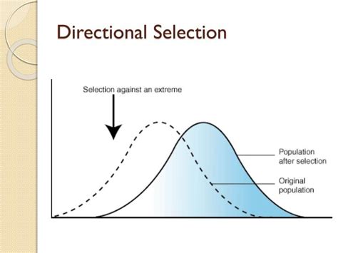 What Is Directional Selection In Plants At Ian Peterson Blog