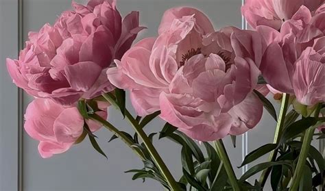 Cute Wallpaper Pink Wallpaper Laptop Pink Wallpaper Desktop Desktop Wallpaper Art