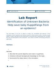 Identification Of Unknown Bacteria Save Baby Kuppelfangs From Course Hero