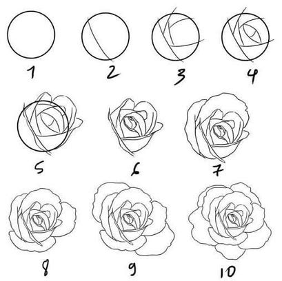 Aprende Paso A Paso Como Dibujar Rosas [ Tutorial A Lapiz ] Dibujos