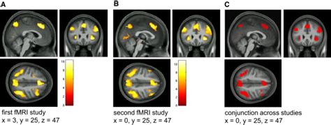 Hierarchical Prediction Errors In Midbrain And Basal Forebrain During Sensory Learning Neuron