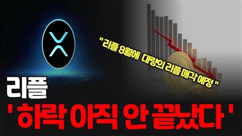 리플 Xrp 하락 아직 안 끝났다 리플 대량 매각 예정 Youtube