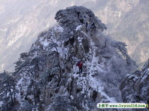 万佛山国家森林公园图册 360百科