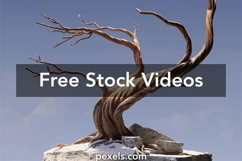 Computer Science Nodes Videos Download The Best Free 4k Stock Video