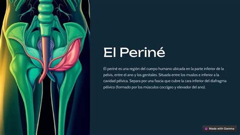 El Perine Arthur Udocz