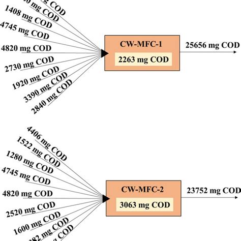 Cod Mass Balance Of Cw Mfc 1 And Cw Mfc 2 Download Scientific Diagram