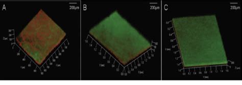 Figure 1 From Tissue Engineered Extracellular Matrices Ecms In
