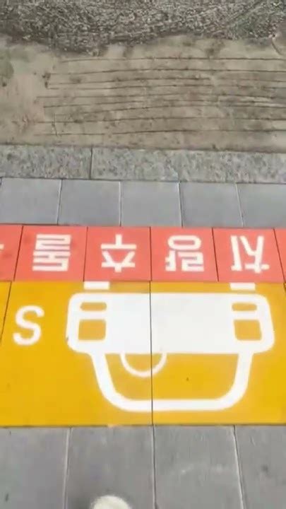 그거 아세요 귤에 붙어있는 하얀 거 이름은 귤락이고 저는 트레저헌터 입니다 Automobile 경찰 사고 Youtube