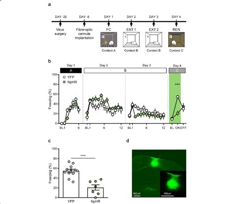 Optogenetic Inhibition Of The Posterior Parietal Cortex Ppc