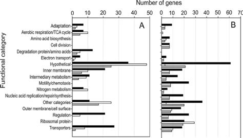 Hierarchical Gene Tree Of Expression From 13 Experiments Over The Download Scientific Diagram