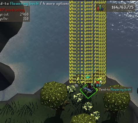 Forestry Events At The Myths Guild Be Like R2007scape
