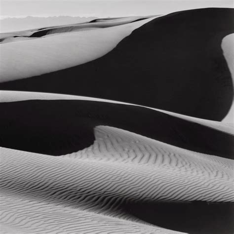 Edward Weston Photography Holden Luntz Gallery