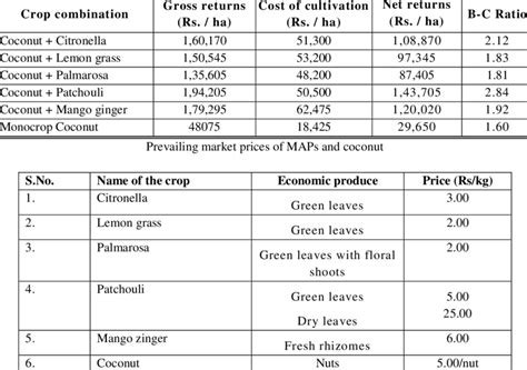 Economics Of Intercropping Of Medicinal And Aromatic Crops In Coconut Download Scientific