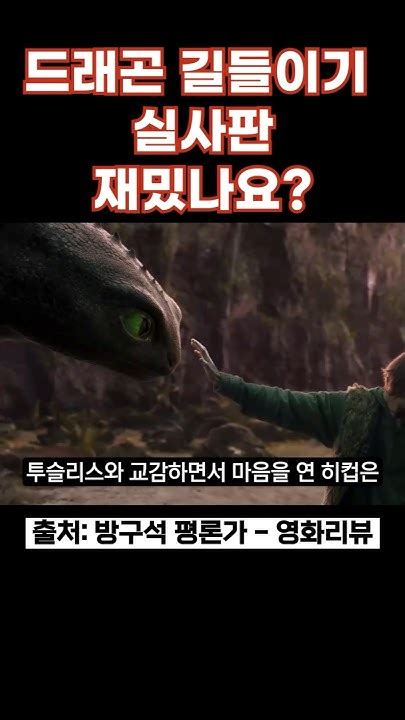 드래곤 길들이기 재밌나요 드래곤길들이기실사판 드래곤길들이기 신작영화 드림웍스 나이트퓨리 투슬리스 Youtube