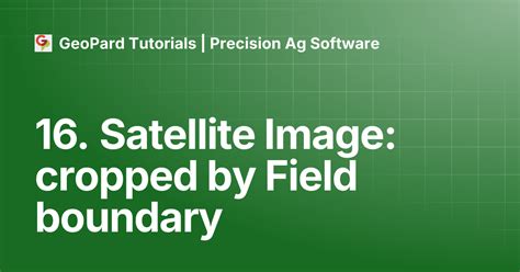 16 Satellite Image Cropped By Field Boundary Geopard Tutorials
