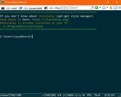 Best Windows Terminal Emulator Ssh Jzatours