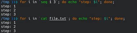 How To Create One Line Loop In Bash Delft Stack