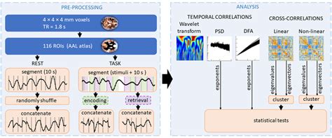 Flow Chart Of Data Preprocessing And Analysis Performed As Described In