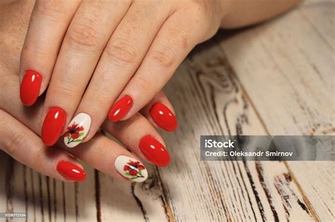 놀라운 자연 손톱입니다 깨끗 한 매니큐어와 여자의 손입니다 0명에 대한 스톡 사진 및 기타 이미지 0명 디자인 매니큐어 미용술 Istock