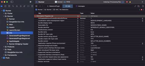 Flutter 오류 모음 Firmessaging Remote Notifications Proxy Enabled 해결법