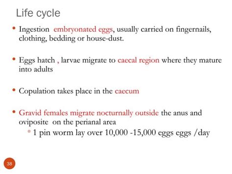 5 1 Intestinal Nemathodes Edited Class Ppt