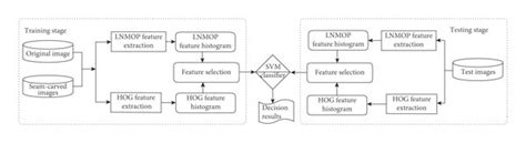 The Proposed Detection Framework Of Image Seam Carving Forensics Download Scientific Diagram