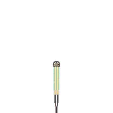 Delsys Store Delsys Delsys Store Delsys